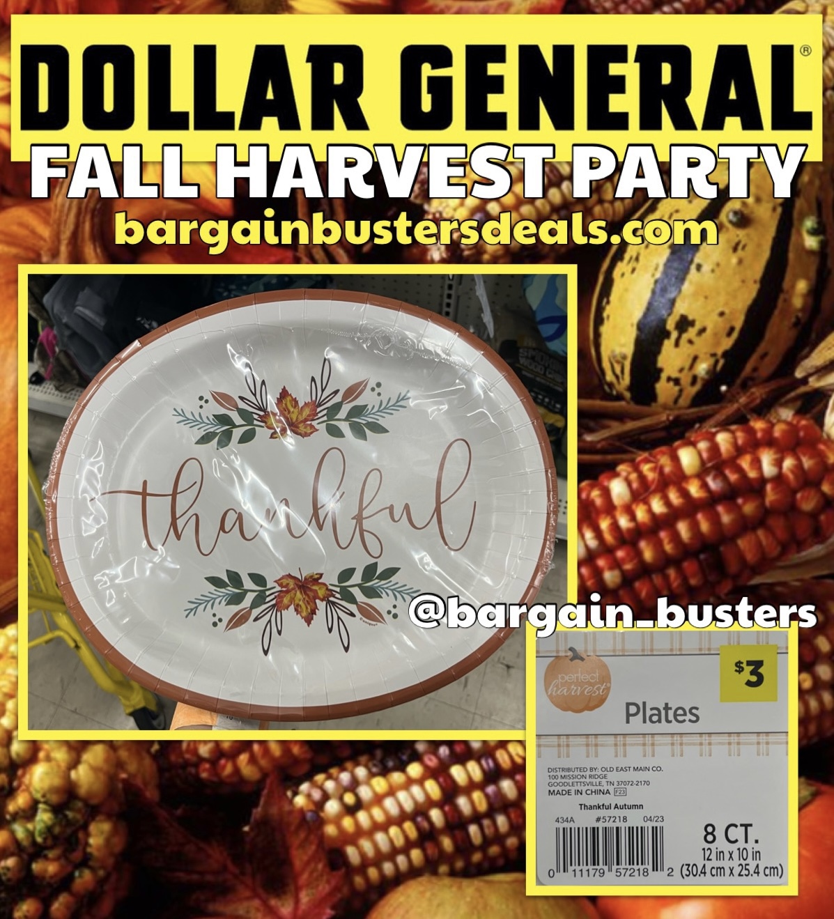 Fall Harvest Party Visuals & List @ Dollar General – Bargain Busters Deals