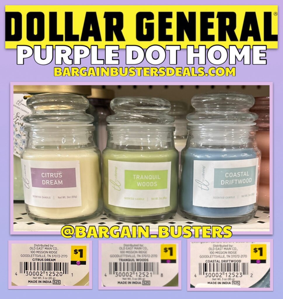 Purple Dot Home (S25) Visuals @ Dollar General – Bargain Busters Deals