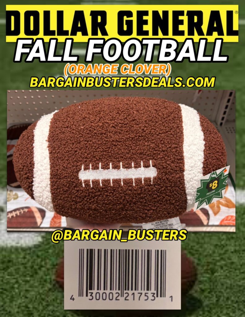 Fall Football (Orange Clover) Visuals @ Dollar General – Bargain ...